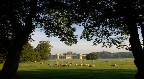 The Goodwood Estate - Security Officer job